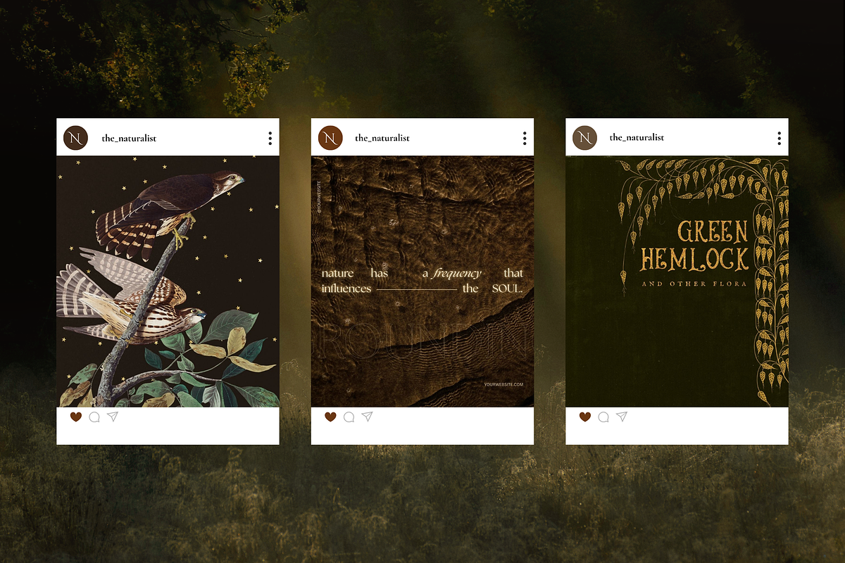 The Naturalist Social Media Bundle