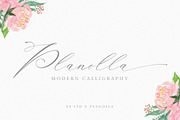 Planolla | Modern Calligraphy, a Script Font by Ef Studio
