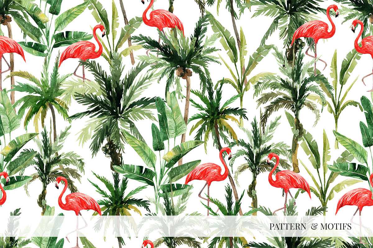 ANIMAL KINGDOM & animals+patterns | Creative Market