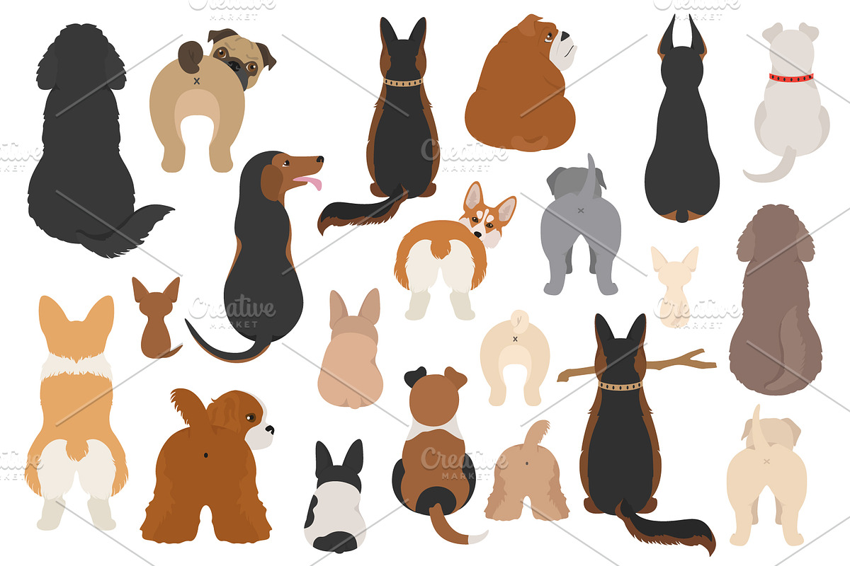 Dogs from behind set, an Animal Illustration by pet design shop