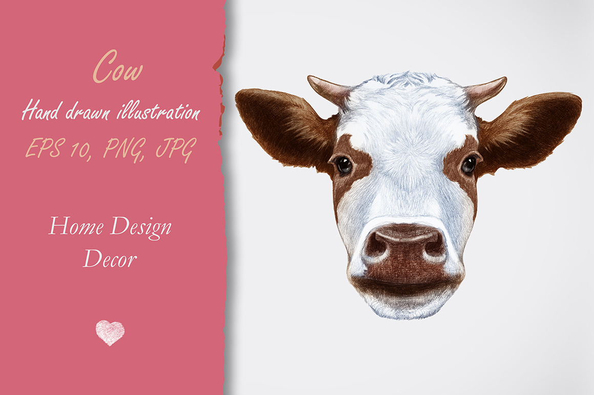 Cow / Decor | Animal Illustrations ~ Creative Market