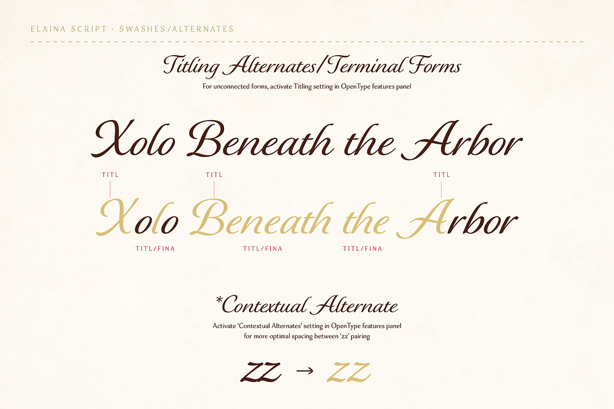 Elaina Family, a Serif Font by Laura Worthington | Creative Market