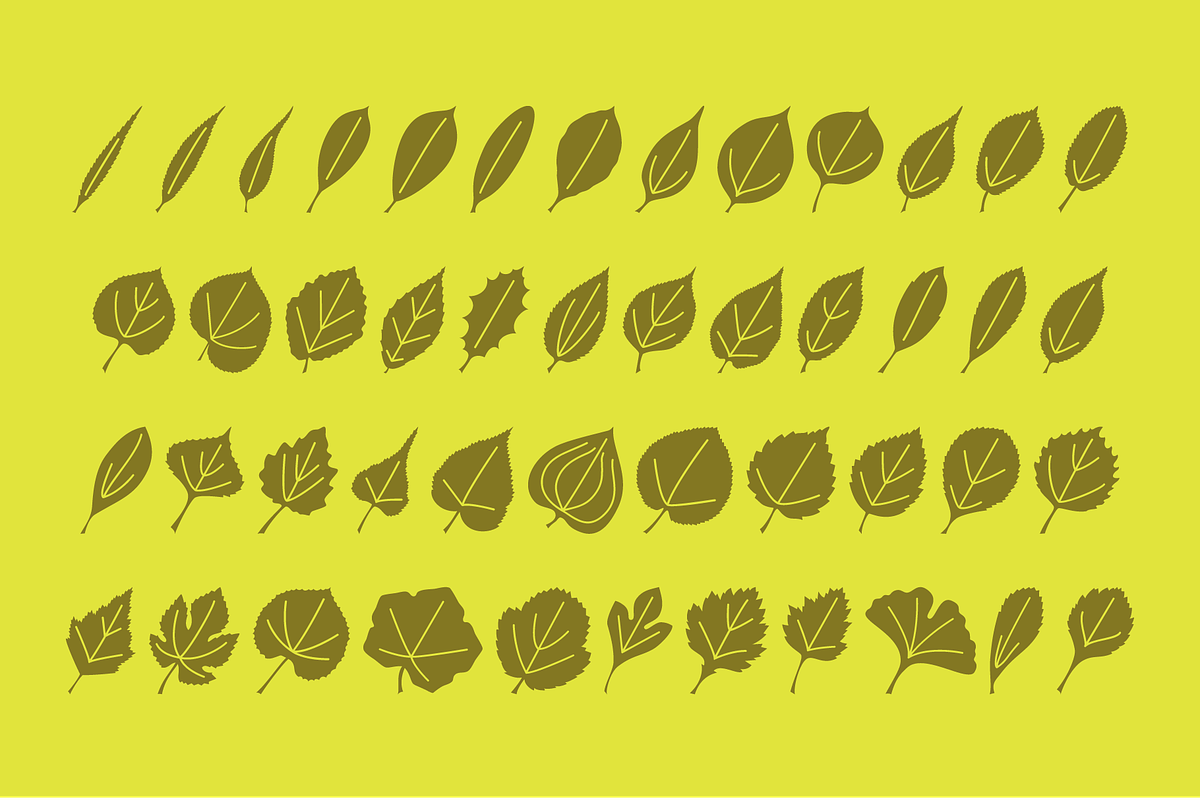 Leaf Assortment Font, a Symbol Font by GG Design
