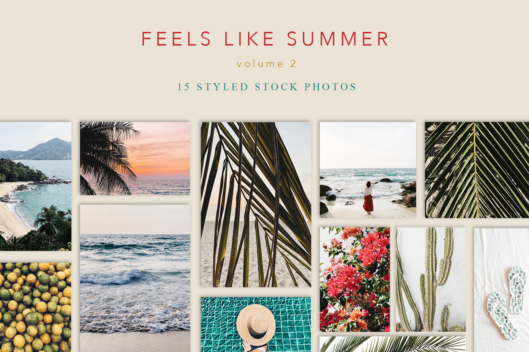 Feels Like Summer 2, a Holiday Photo by Floral Deco