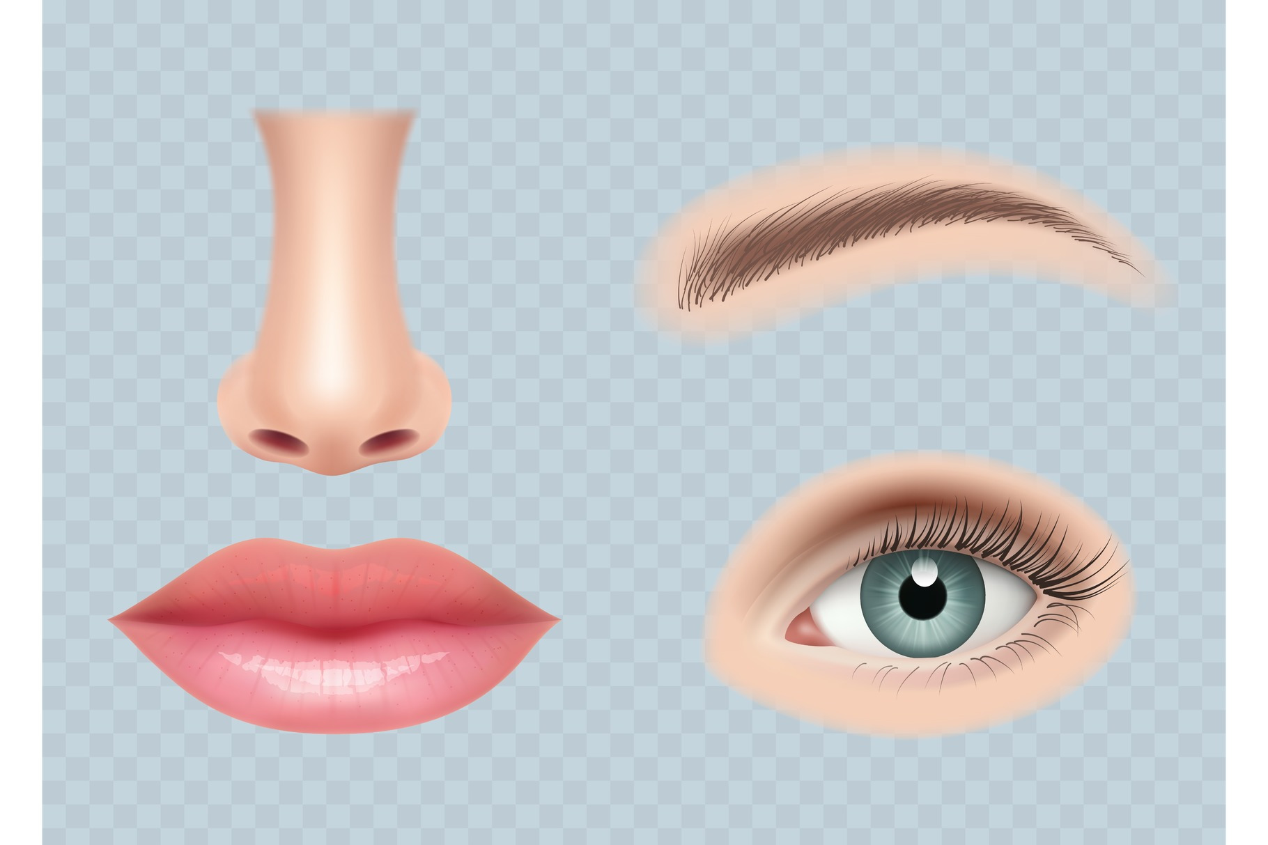 Face parts realistic. Human body, a Background Graphic by Onyx