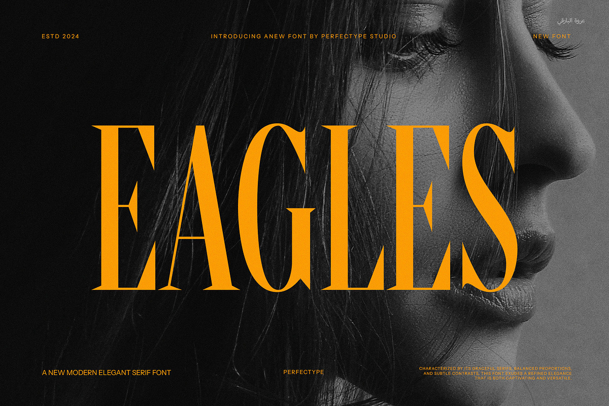 Eagles Serif Font By Perfectype