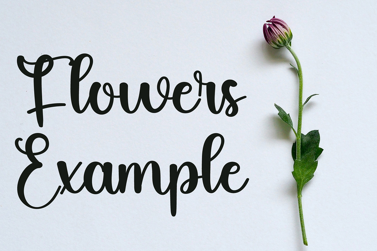 Tuesday - New Script Font