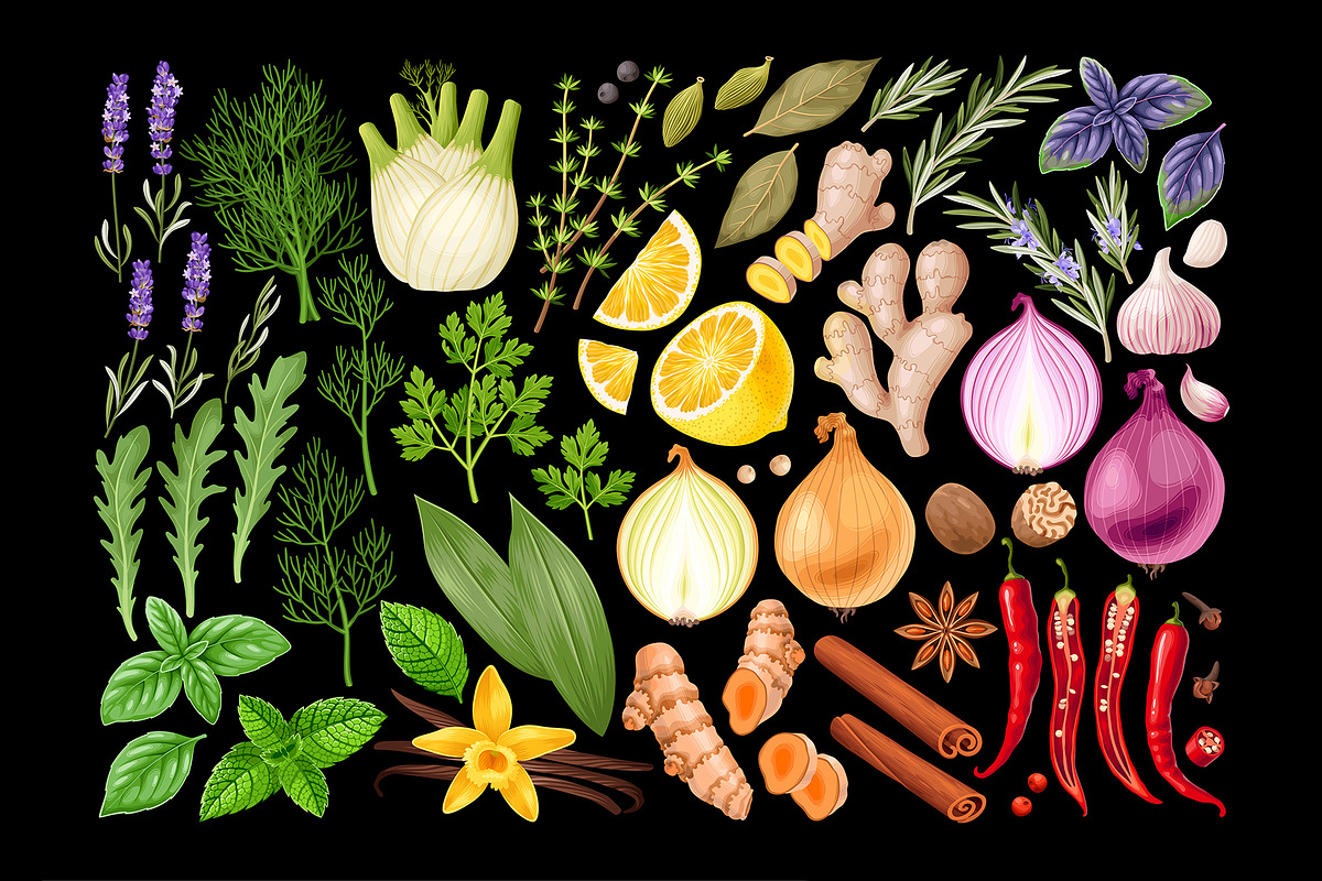 Spices and Herbs Bundle, a Food Illustration by GreyLilac