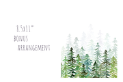 Watercolor Pine Trees Pack, an Illustration by PaperSphinx