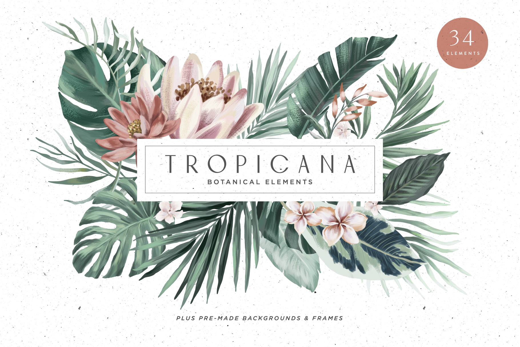 Tropicana Botanical Elements, a Graphic by West Wind Creative ...