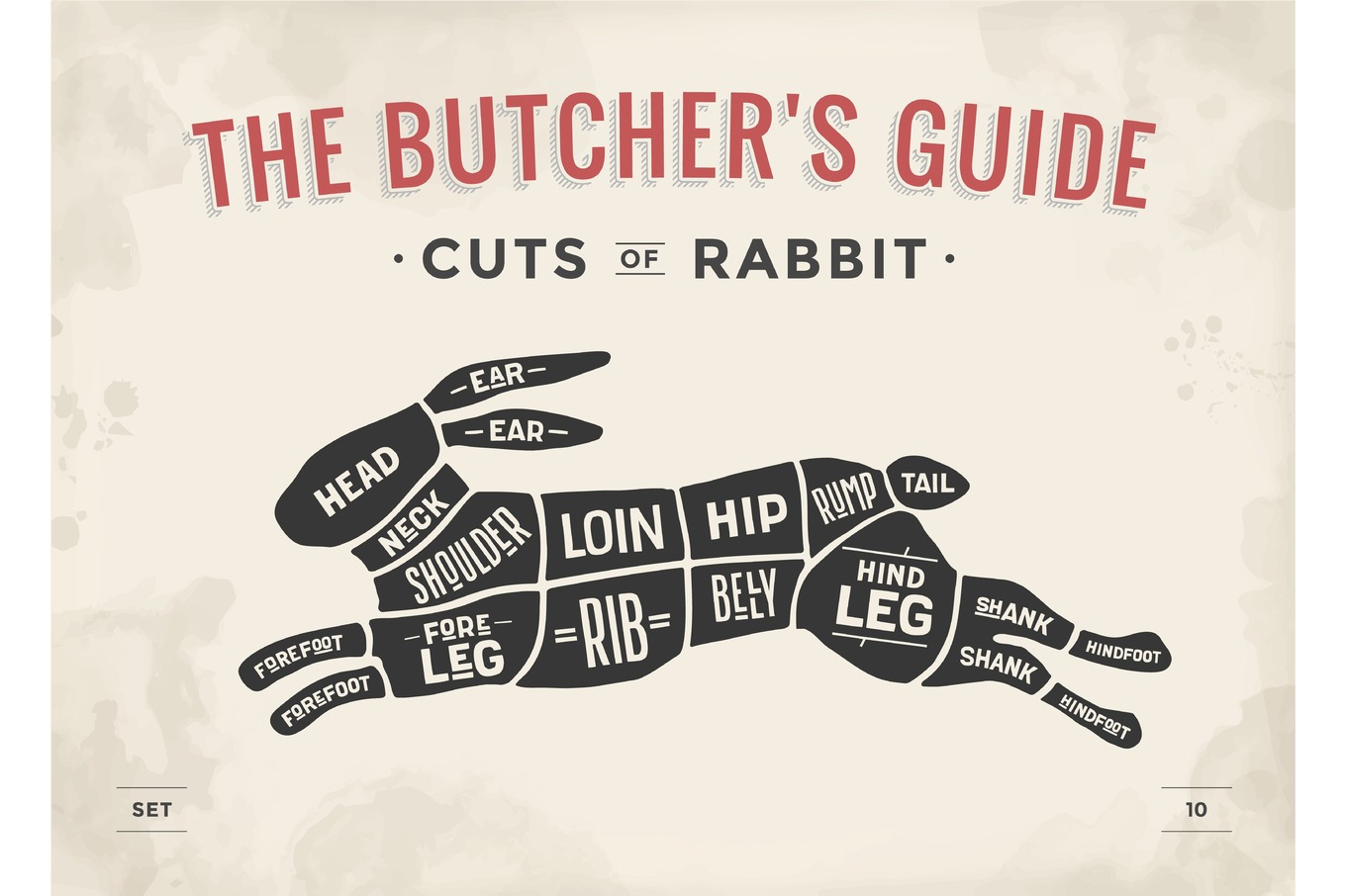 Cut of meat set. Poster Butcher diagram, scheme - Rabbit | Animal ...