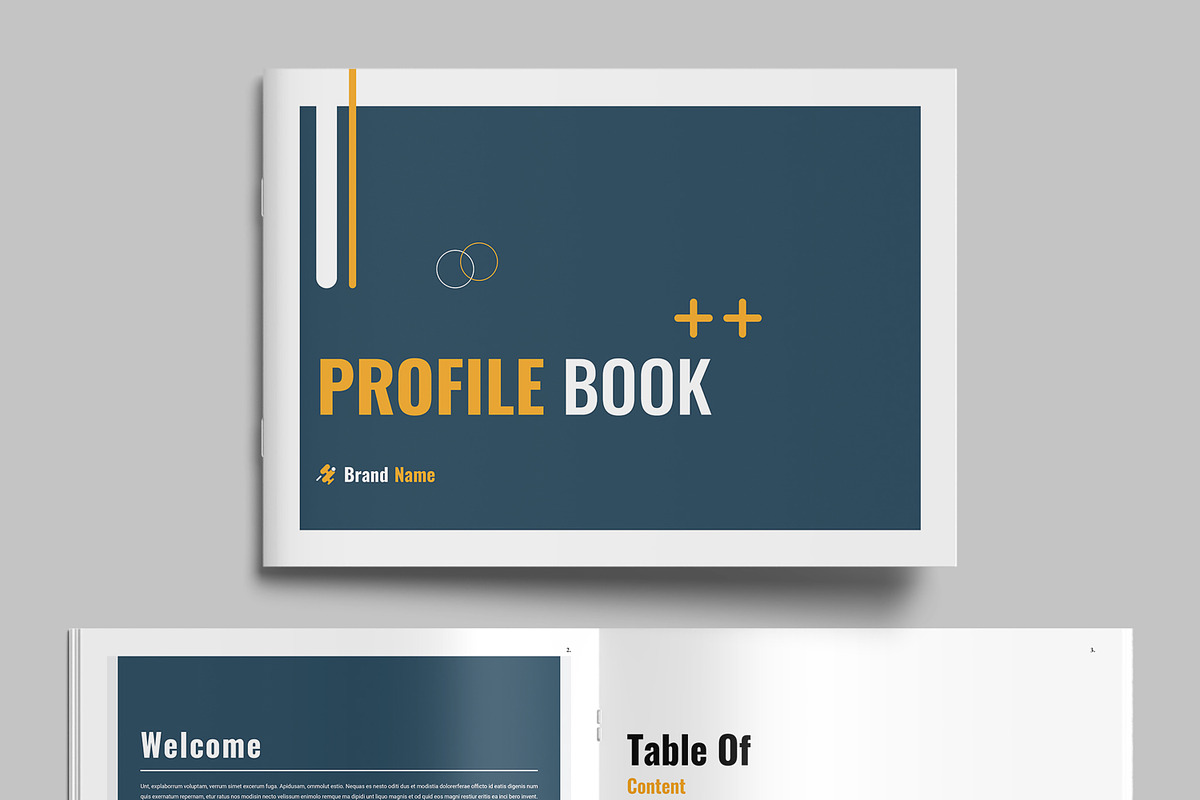 Business Profile Book Design