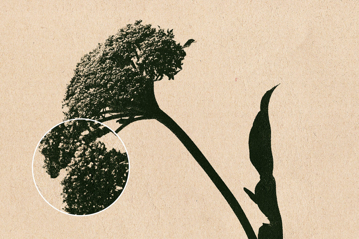 Retro Green Grain Photo Effect, a Layer Style Add-On by Design Squad