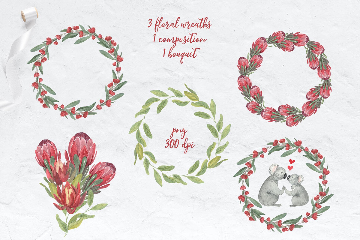 Koala Mama - Mother's Day Clipart, an Animal Illustration by Catch the ...