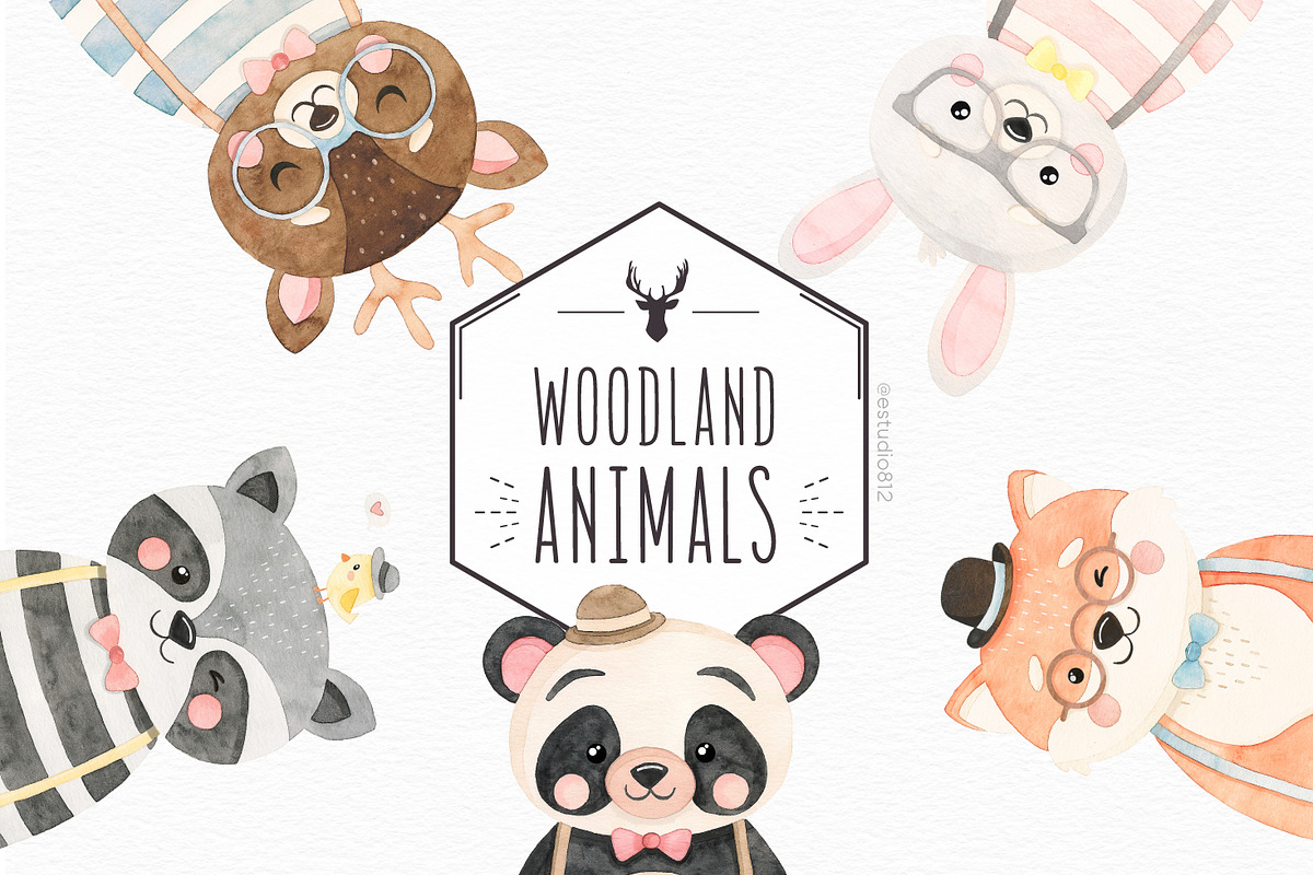 Woodland Animals, an Animal Illustration by Estudio 812