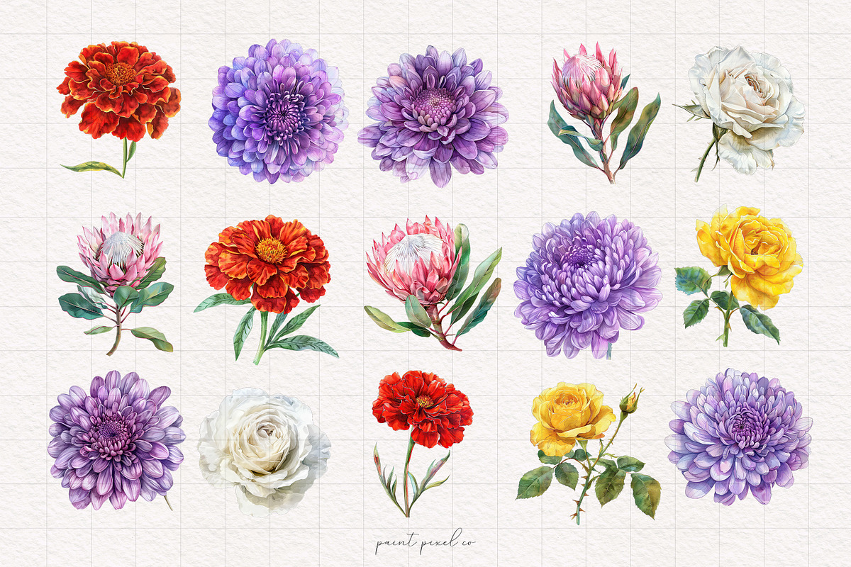 Autumn Flowers Clip art, a Decorative Illustration by PaintPixelCo