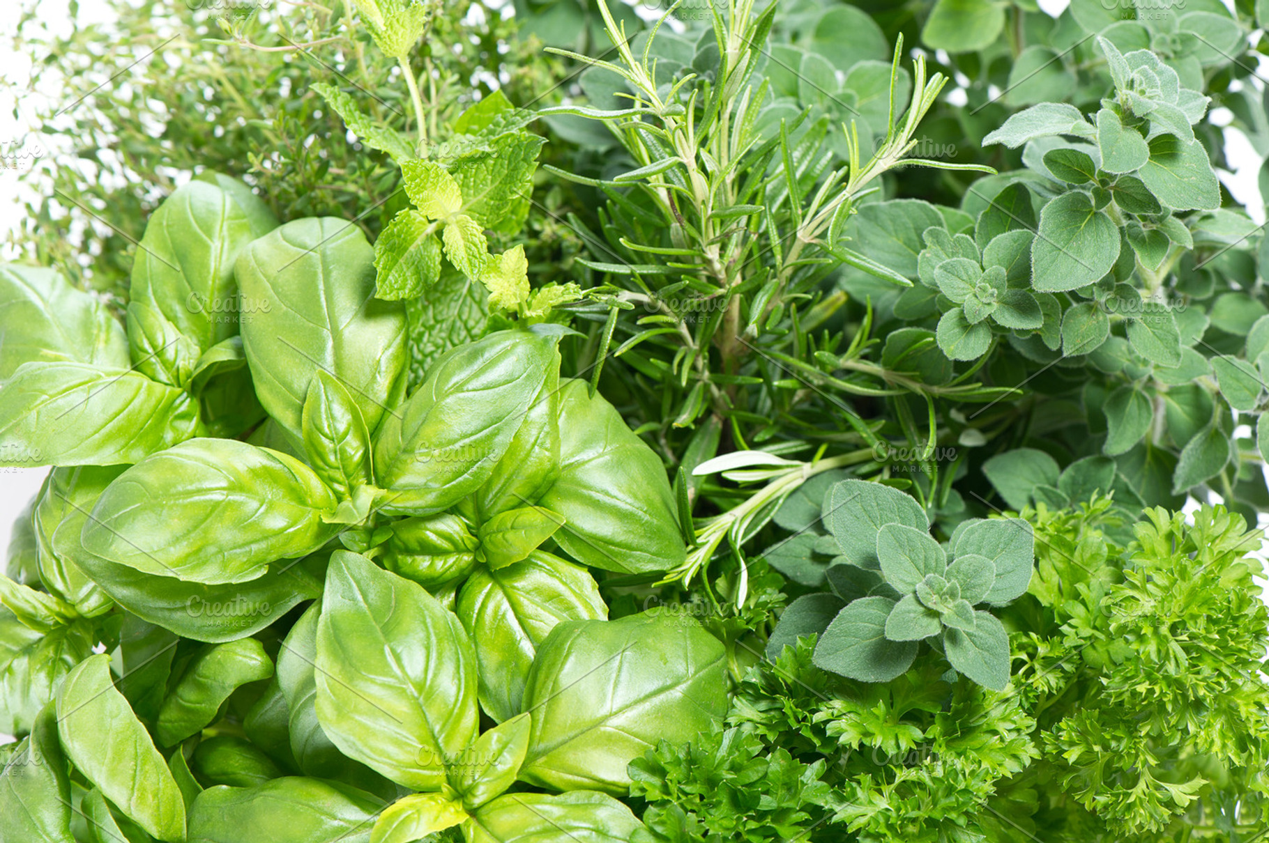 Fresh herbs. Food background, a Food & Drink Photo by LiliGraphie