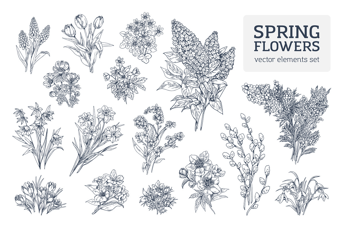 Vintage hand drawn flowers set, a Decorative Illustration by Good Studio
