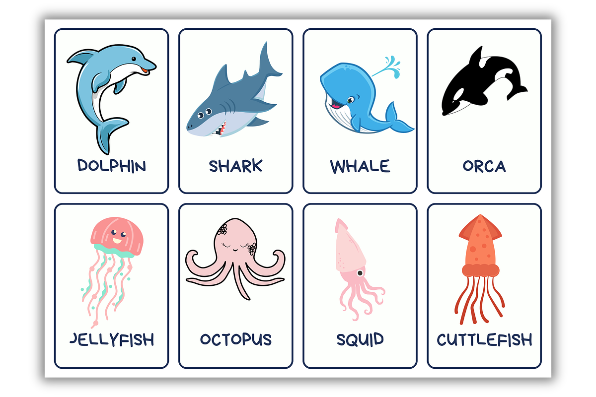 Sea animal flashcard | Creative Market