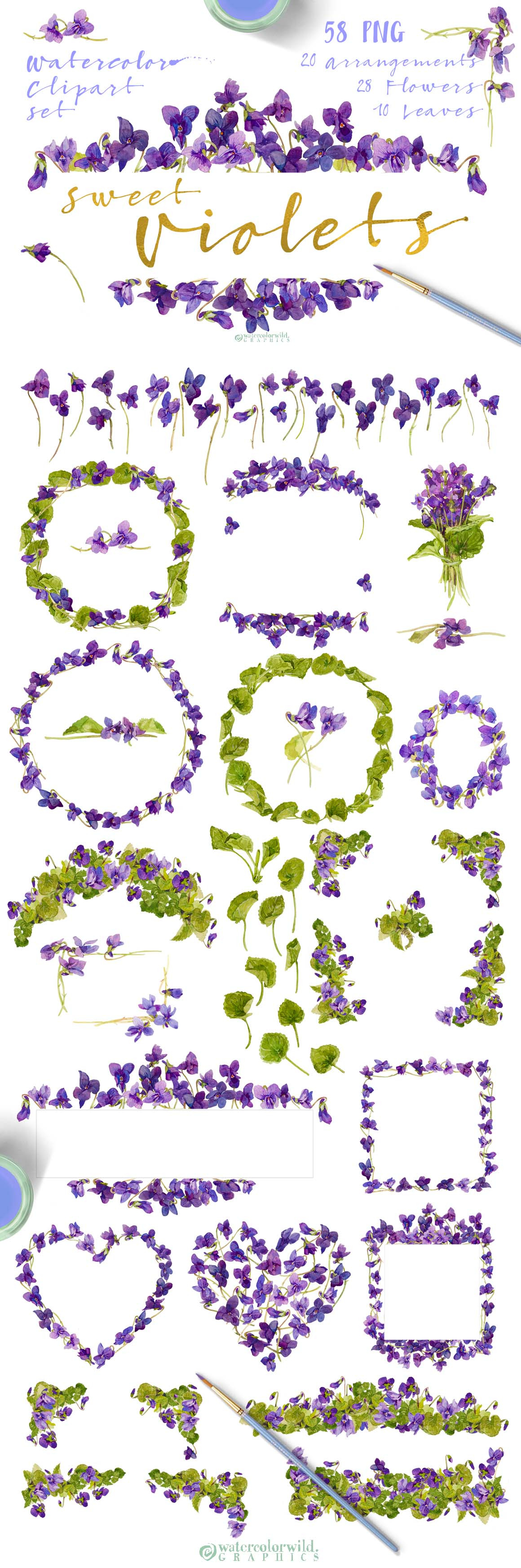 Sweet Violets, an Illustration by watercolorwild.graphics