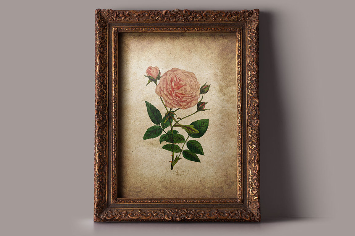 Vintage Paper Textures Effervescent, a Texture Graphic by Eclectic ...