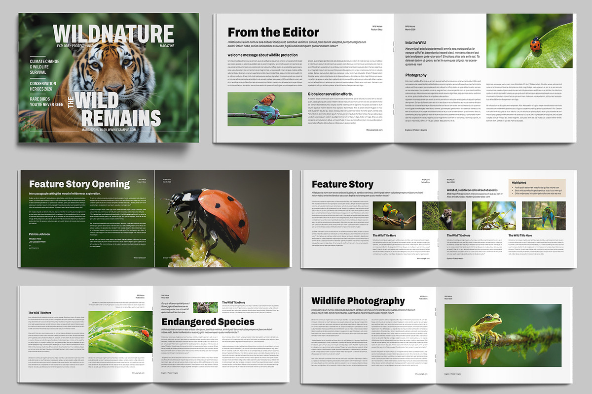 Wildlife Magazine Template