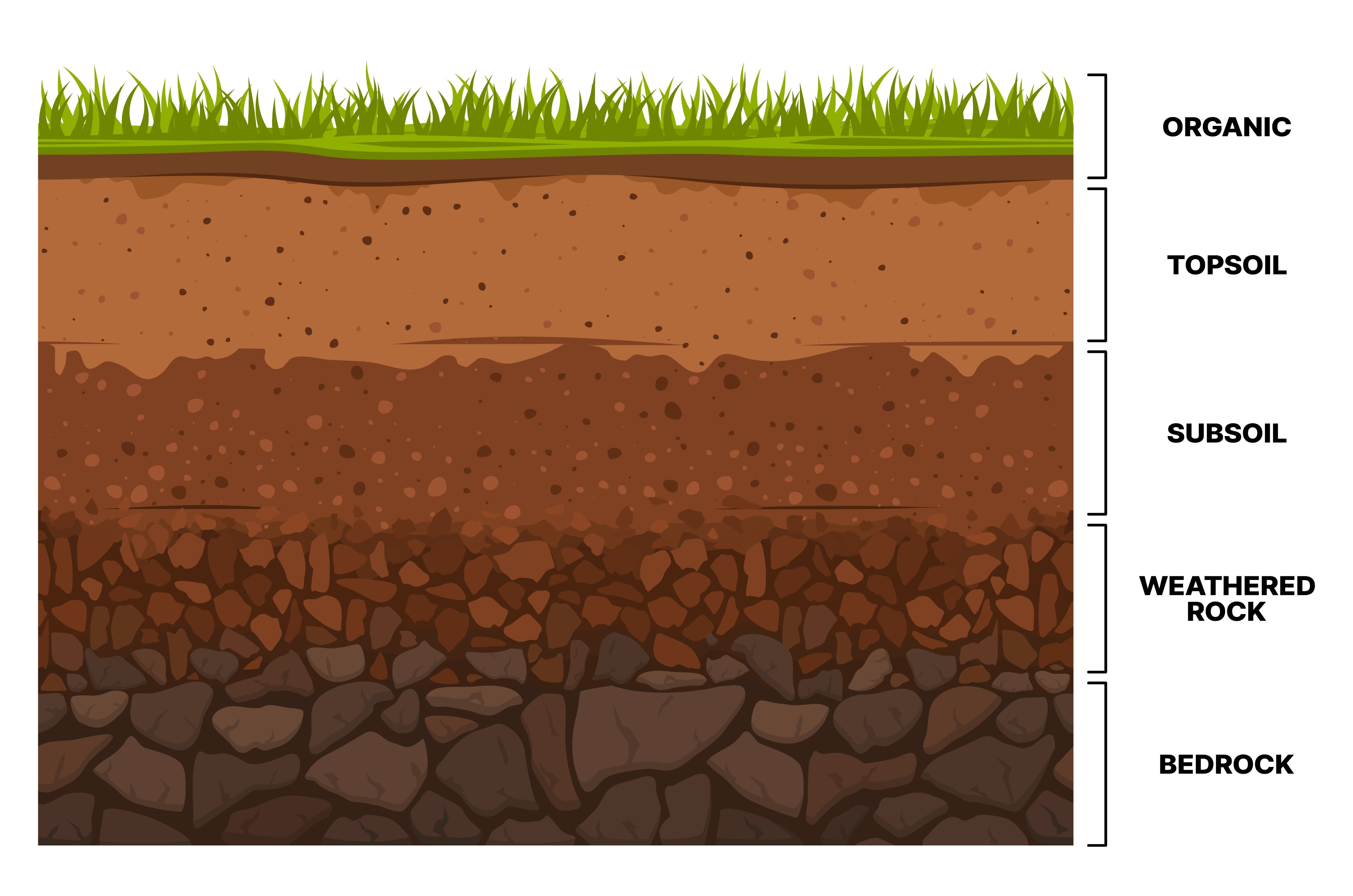 Soil layer infographic earth subsoil, an Education Illustration by ...