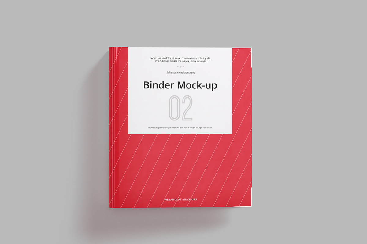Binder Mock-up, a Books & Magazine Mockup by WebAndCat
