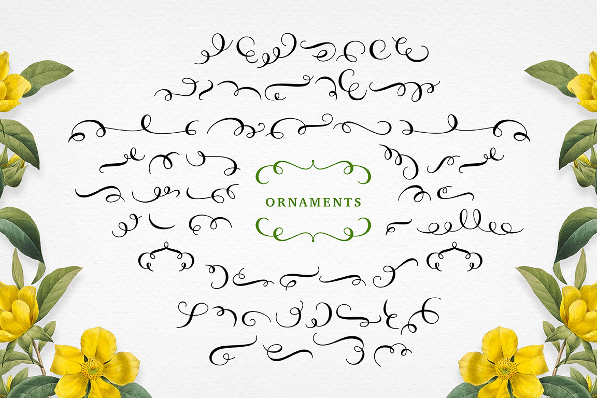 Molly Script, a Script Font by Seniors