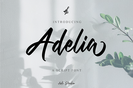 Fimecos Font, a Script Font by vuuuds