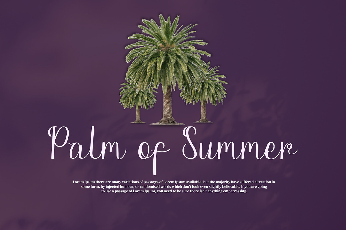 Paletta Script Fonts, a Script Font by mahstudios | Creative Market