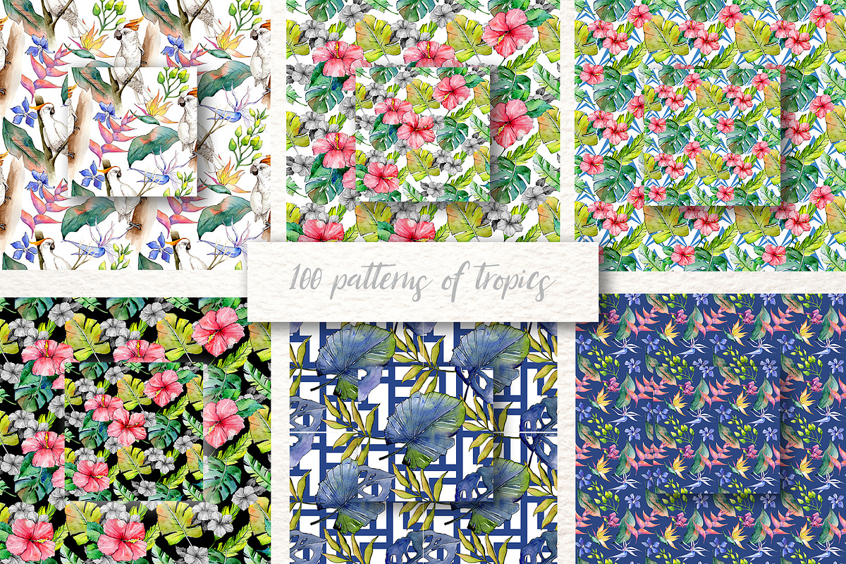 100 patterns of tropics JPG set, a Texture Illustration by ...