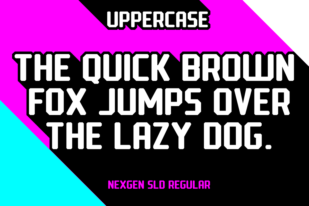 Nexgen SLD Font Family, a Sans Serif Font by Alphabet Agency