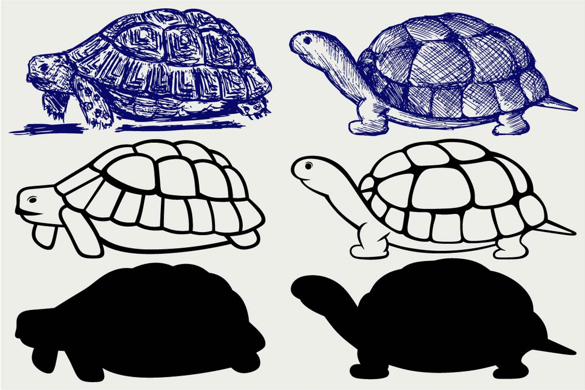 Turtle, side view SVG, an Outline Icon by LineworkStock