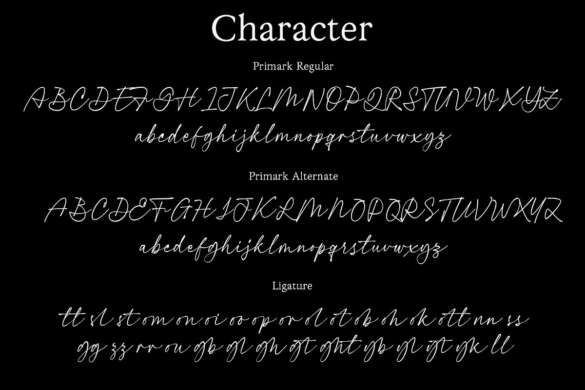 Primark - Organic Calligraphy Script