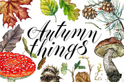 Autumn Things, an Illustration by Watercolor life
