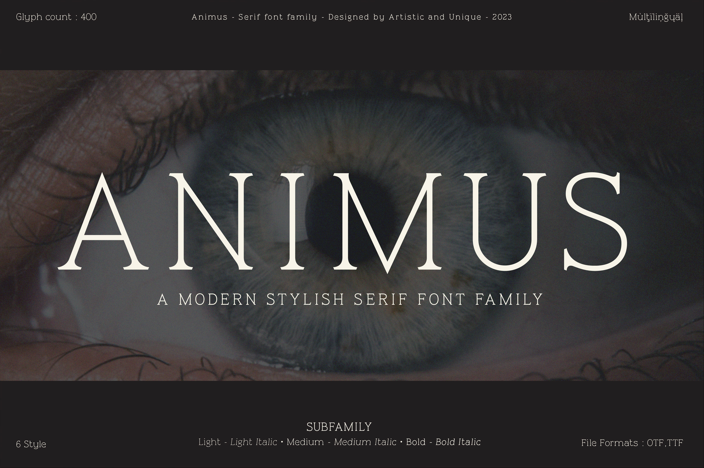 Animus - Serif font family