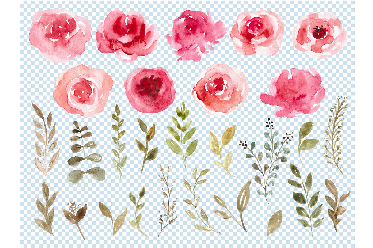 Watercolor Floral Elements Clipart, an Illustration by OliaGraphics
