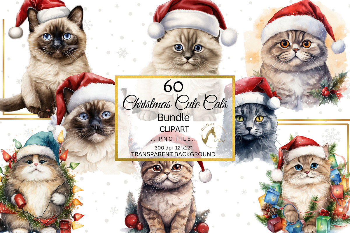 Cute Christmas Cats PNG Bundle, an Animal Illustration by NiiiNArt