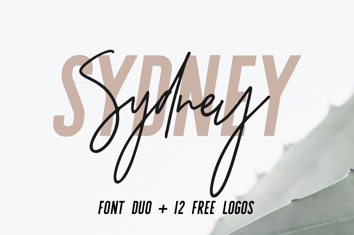 Sydney | Font Duo + 12 Free Logos, a Sans Serif Font by Jen Wagner Co