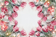 Tulips circle frame, a Background Photo by VICUSCHKA