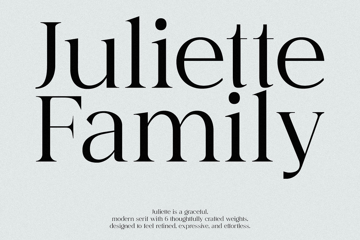 Juliette Family Serif (12 Fonts), a Serif Font by Schrifted Type