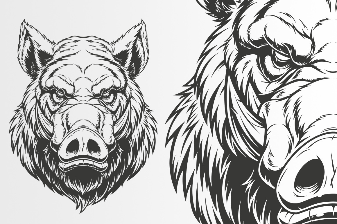 Head ferocious boar, an Animal Illustration by Mark2000