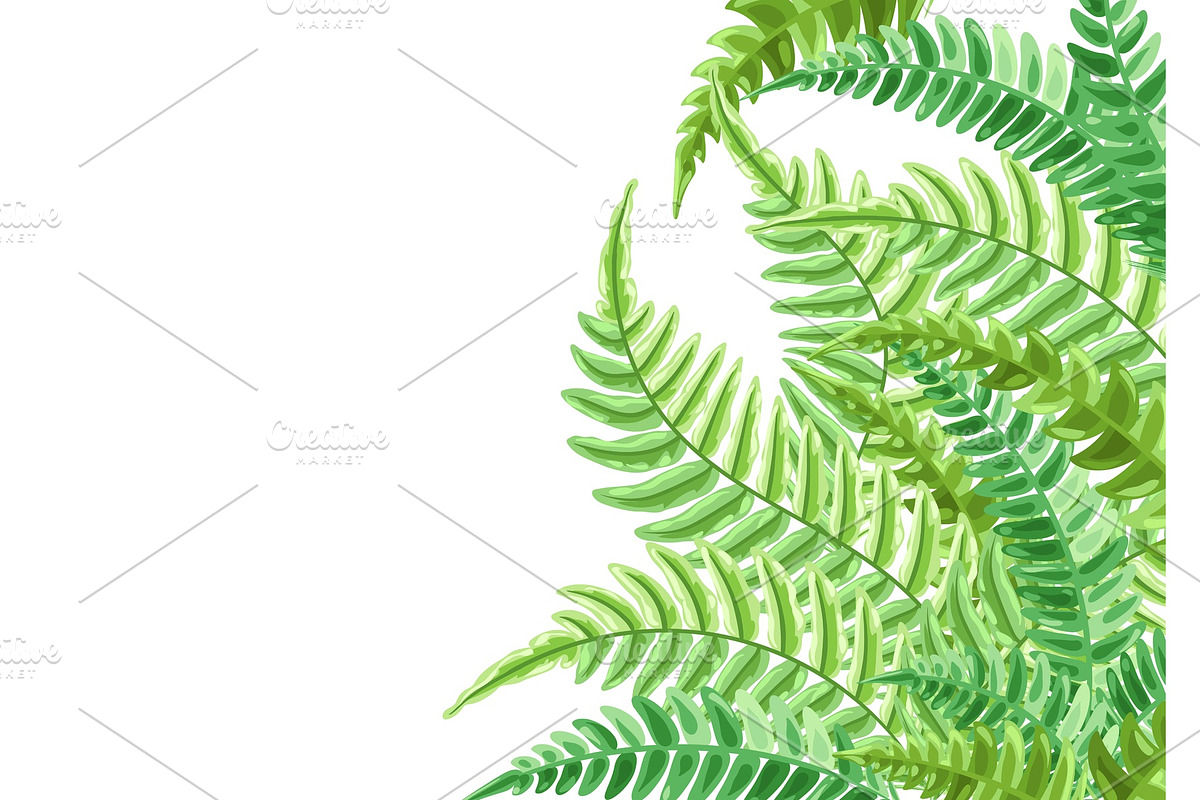 Background with fern leaves., a Decorative Illustration by incomible