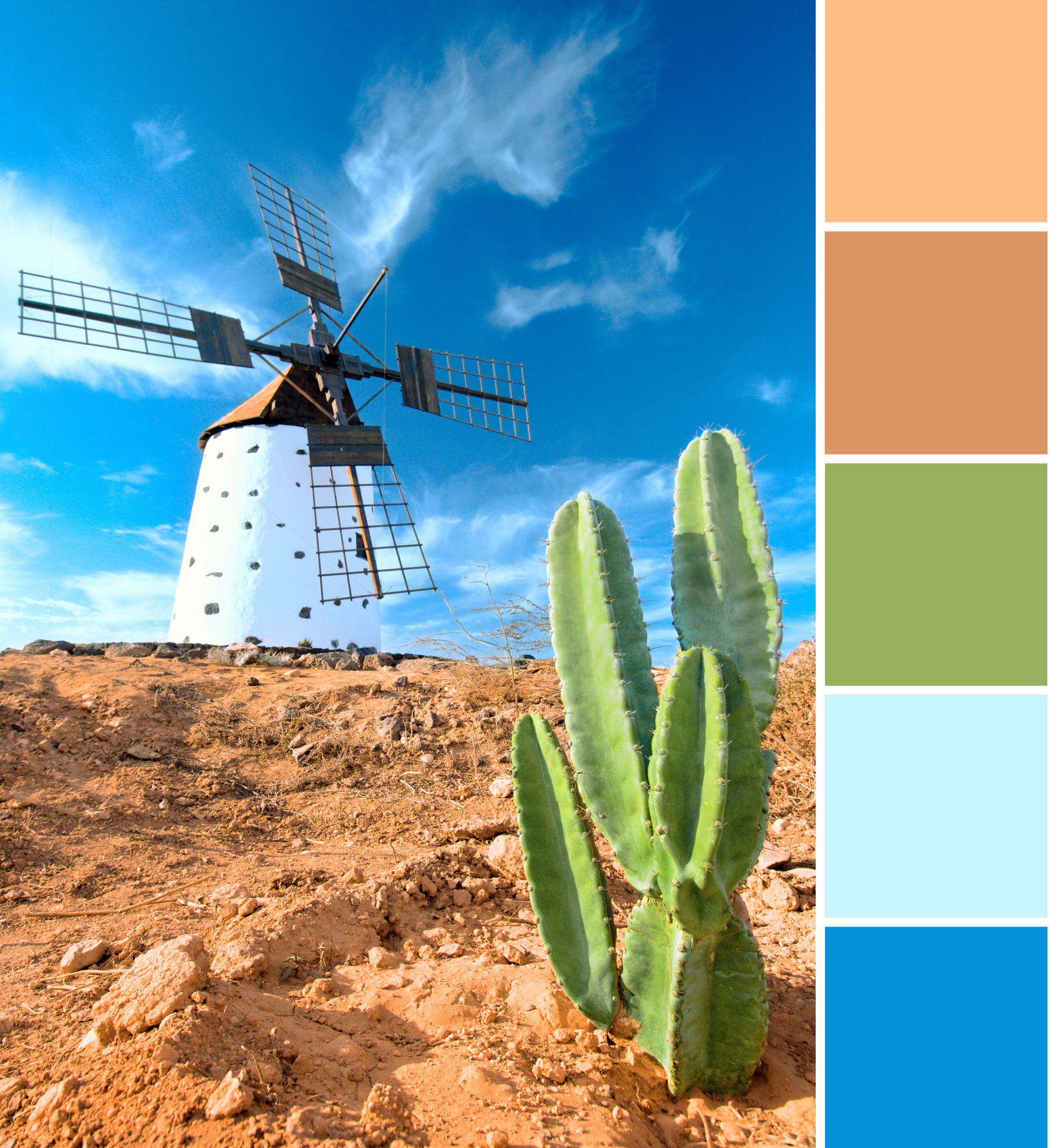 Color matching palette from travel i featuring color swatch, color ...