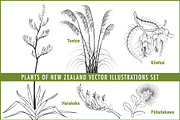 Plants of New Zealand Vector Set, an Illustration by Anna Repp Illustration