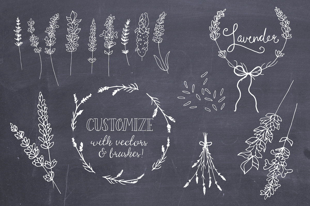 Lavender Clip Art & Vectors, a Graphic by The Pen and Brush