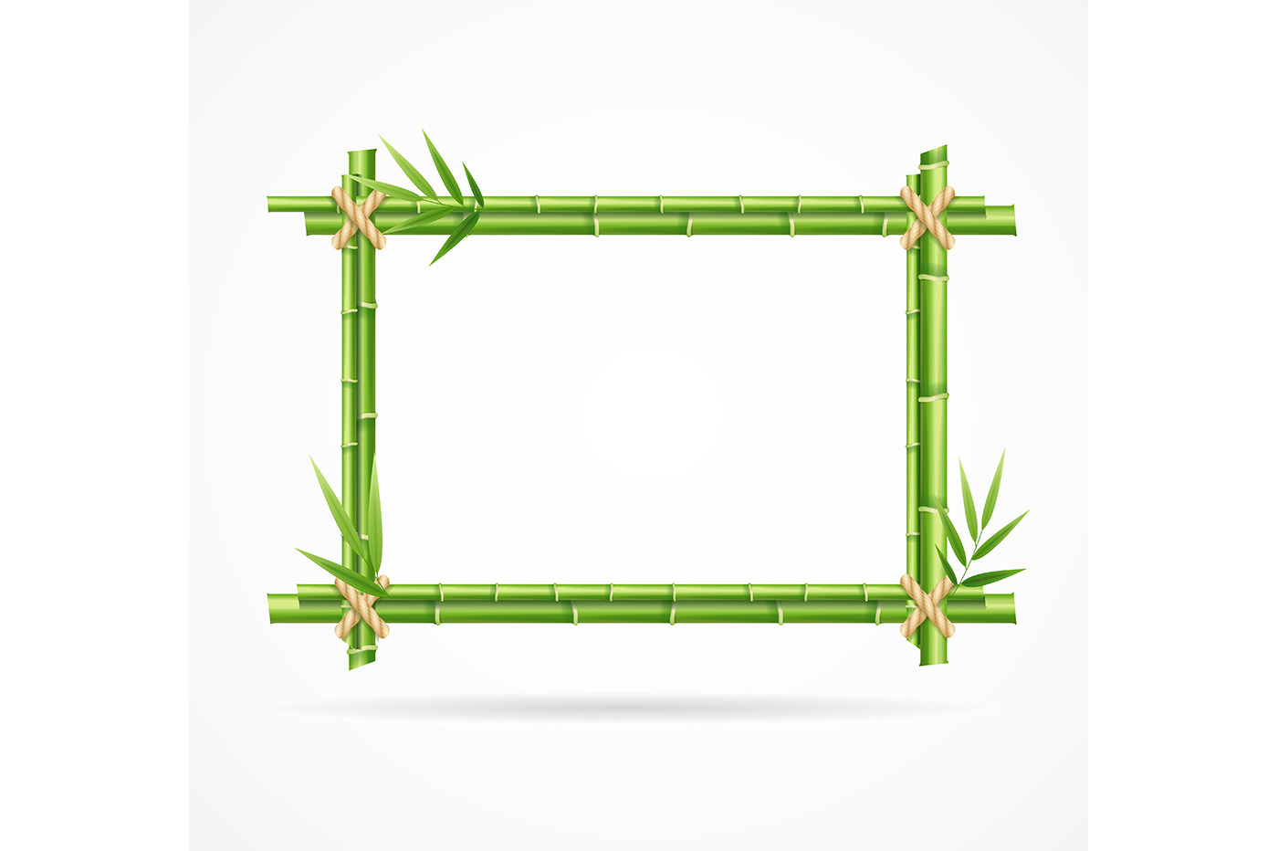 Realistic 3d Green Bamboo Frame., an Object Graphic by More Shop