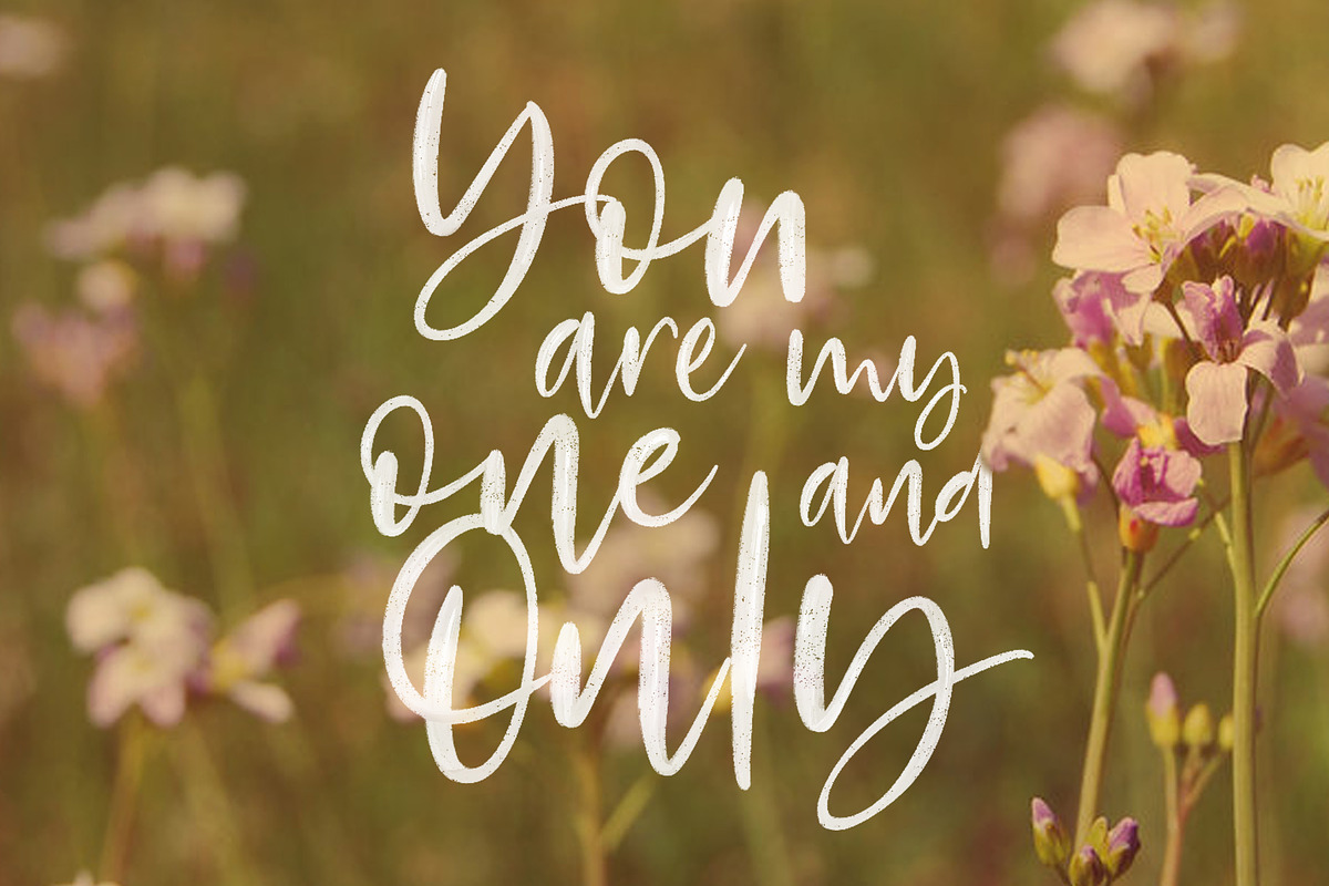 Rosetta SVG Color Font, a Script Font by StereoType