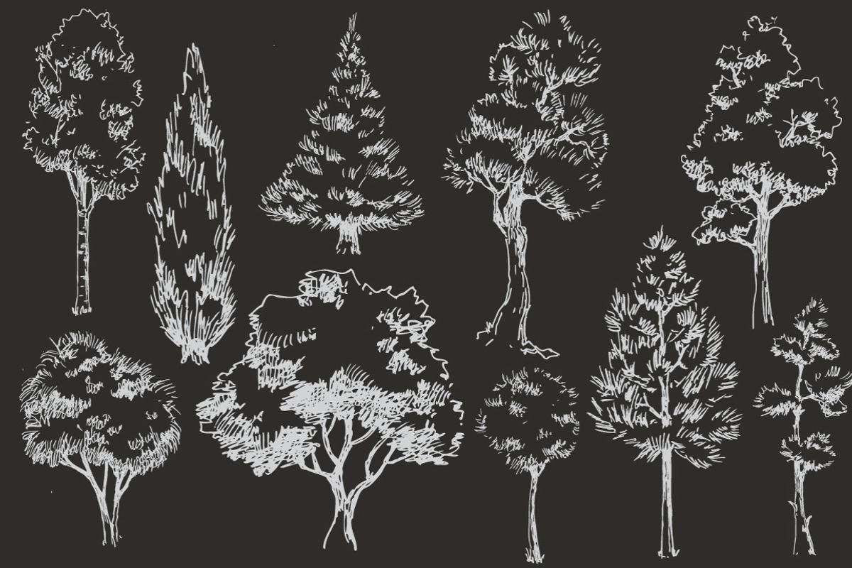 12 Vector Sketch Trees, an Object Graphic by Lembrik's Artworks